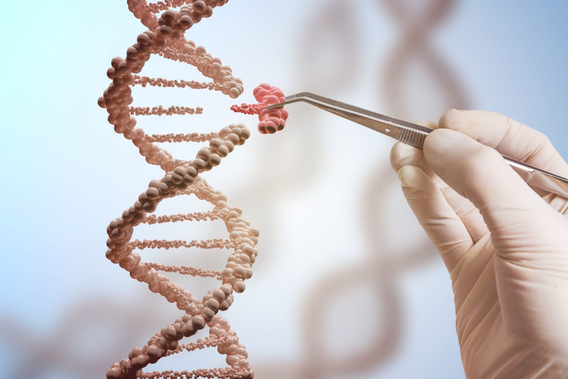 Mutacje genowe a chromosomowe - na czym polega różnica? - Gyncentrum