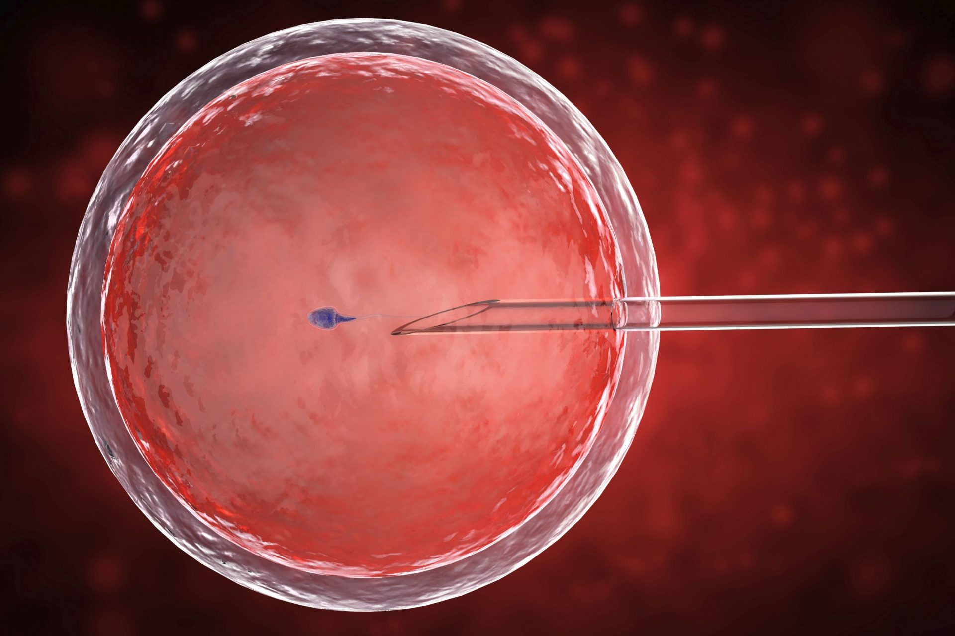 Four decades of experience. What is new in ivf? - Gyncentrum